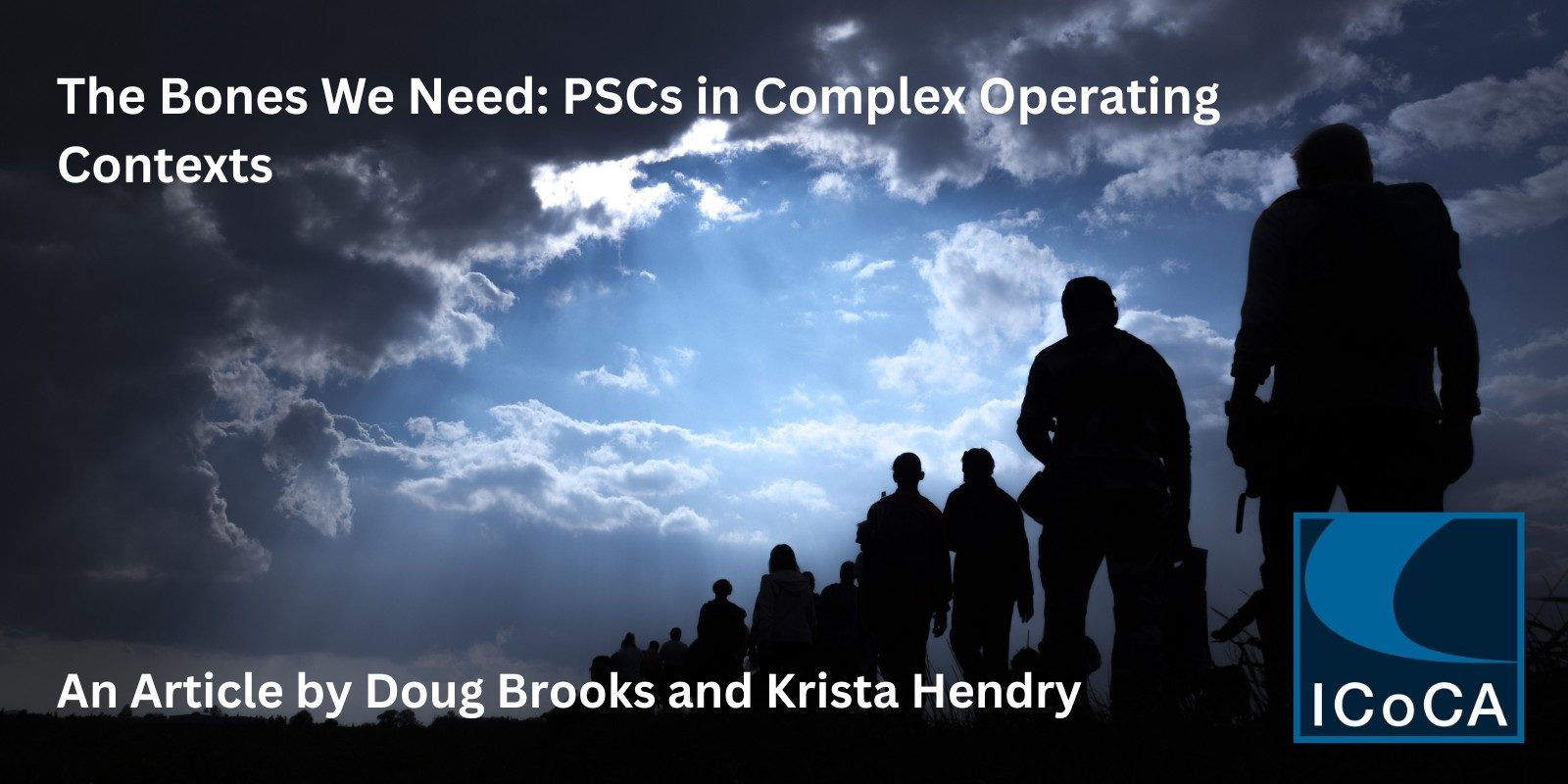 The Bones We Need: PSCs in Complex Operating Contexts